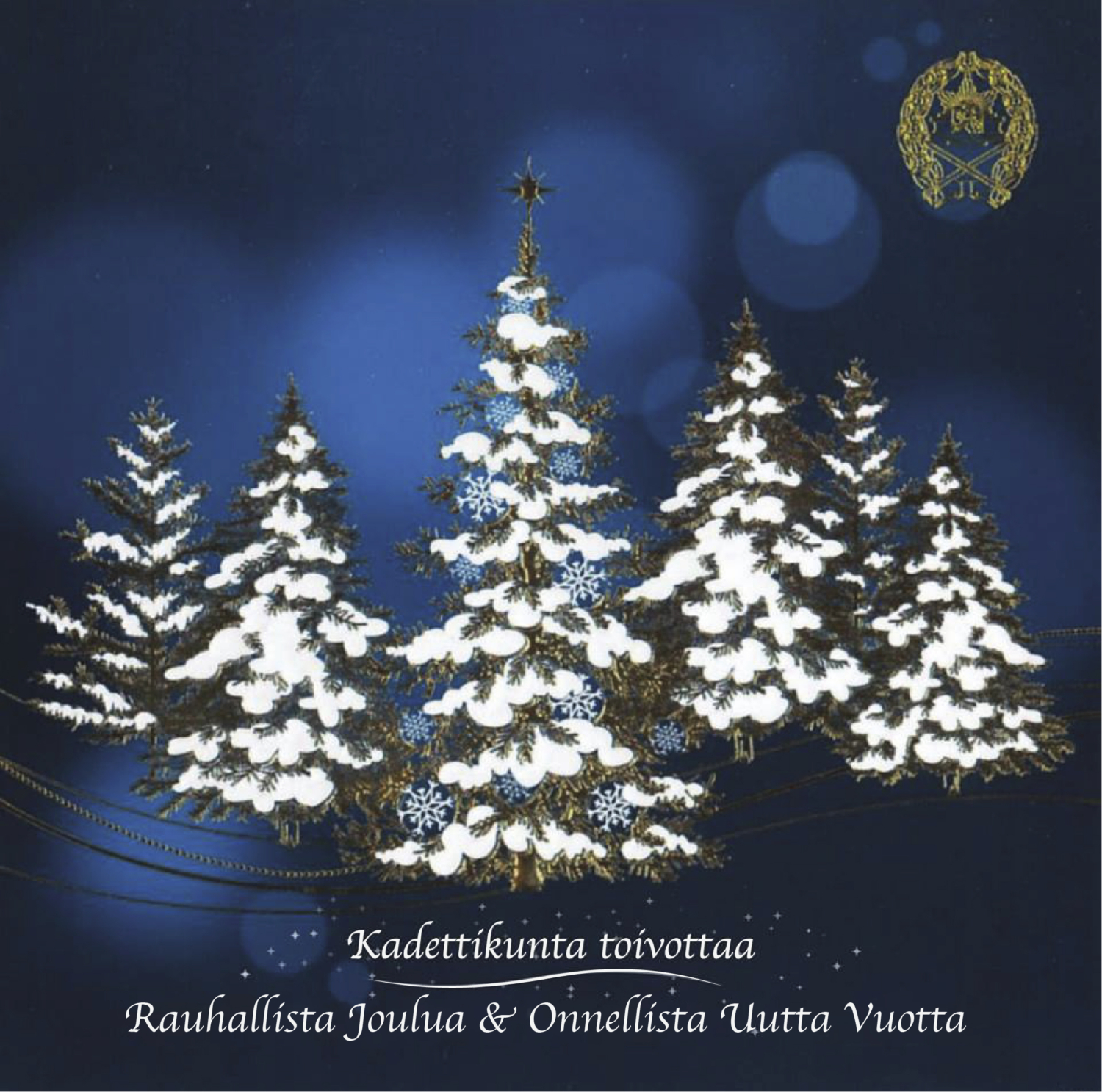 Kadettikunta toivottaa Hyvää Joulua ja Onnellista Uutta Vuotta 2025 ...